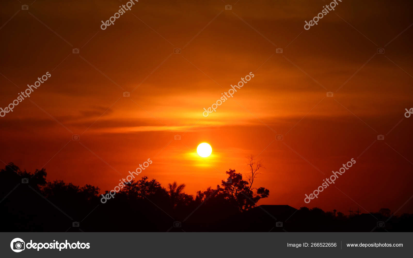 Golden Yellow Sky Sunset — Stock Photo © tharathiponsri@gmail.com ...