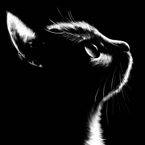 Cat picart black and white Stock Photos, Royalty Free Cat picart black ...
