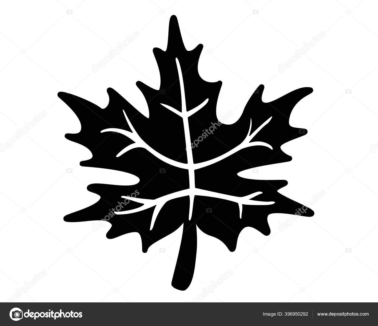 Maple Leaf Silhouette Vector 150+ Japanese Maple Leaf Silhouette Stock