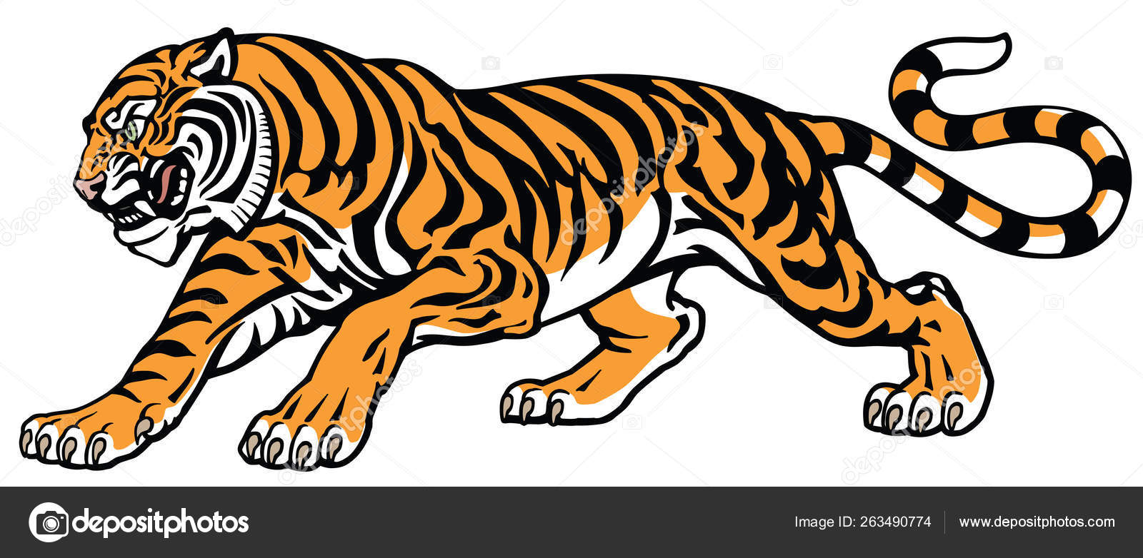 Angry Tiger Drawing