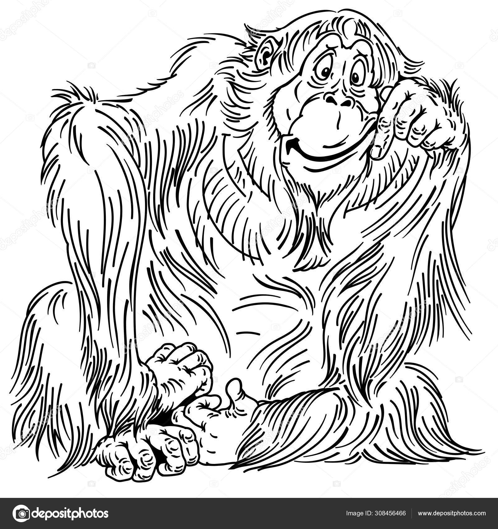 Ape Clipart Black And White