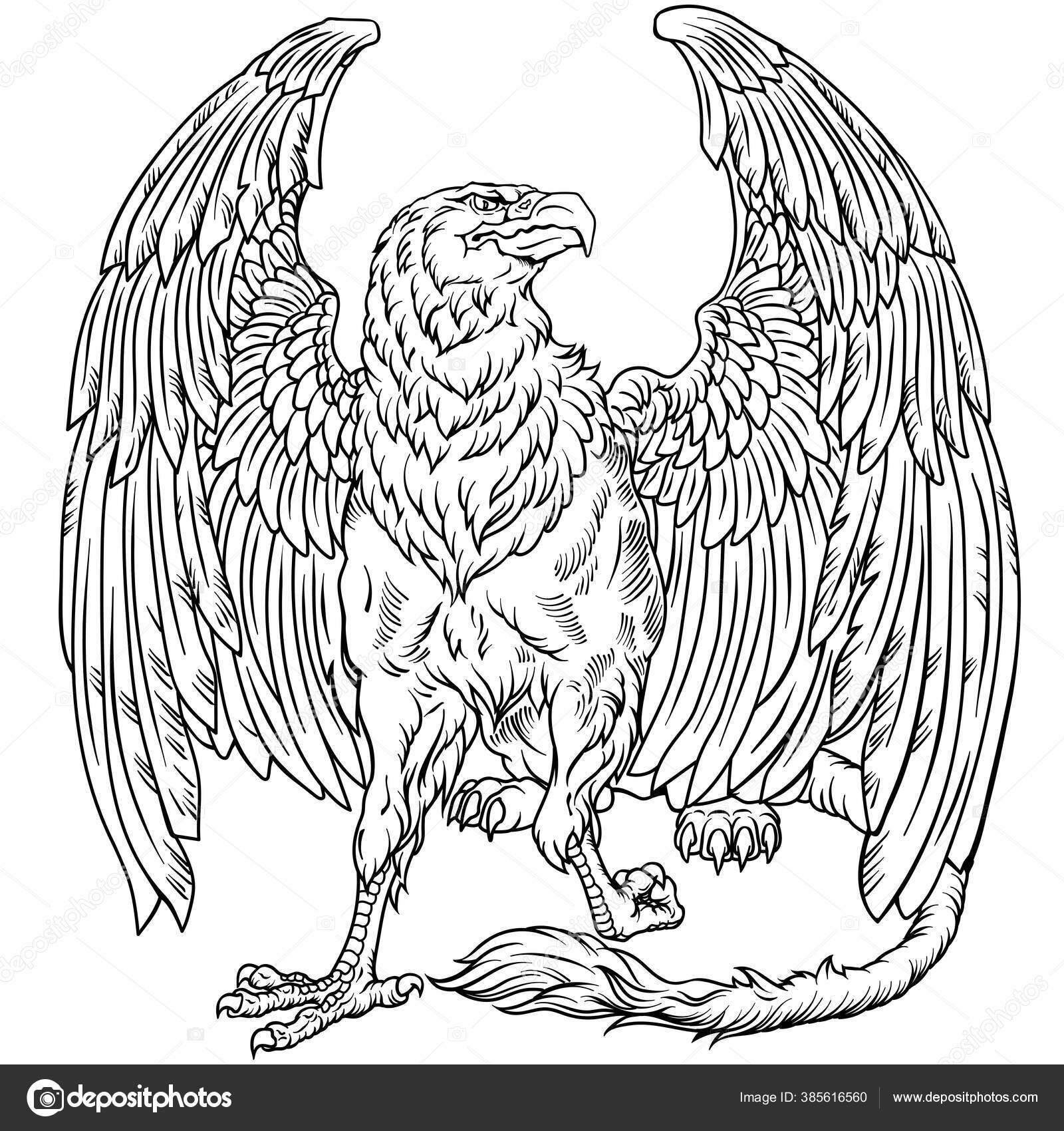 Griffin Griffon Gryphon Mythical Beast Having Body Lion Wings Head ...