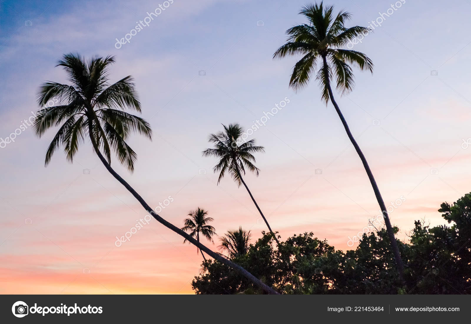 Puesta Sol Tropical Moorea Polinesia Francesa — Foto de stock ...