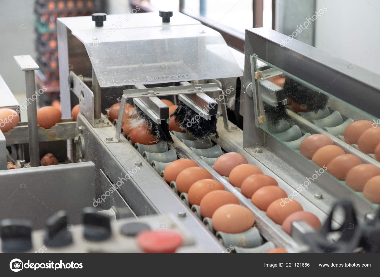 Fresh Egg Grading And Sorting Machine, Grade Egg By Weight, 48% OFF