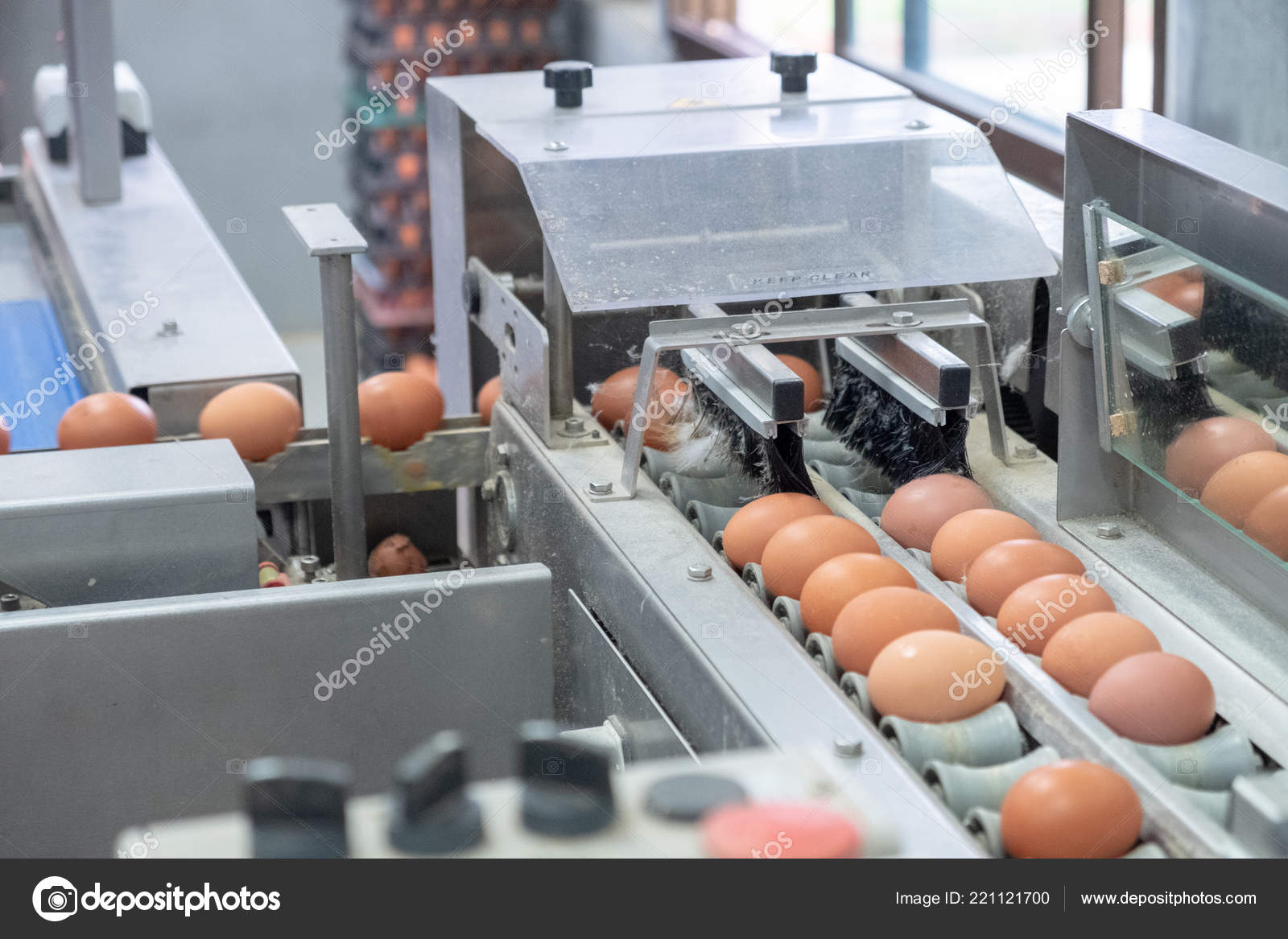 Fresh Egg Grading Sorting Machine Grade Egg Weight Size — Stock Photo ...
