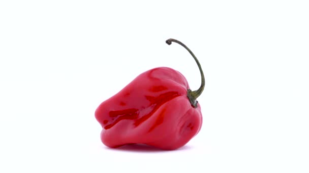 Vidéos pour Piment fond blanc, Piment fond blanc clips vidéo HD / 4K ...