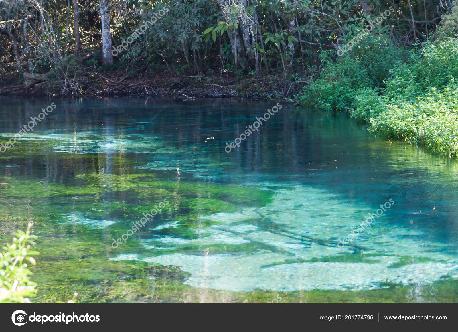 Sunrise Sucuri River Brazil Crystal Clear Transparent Blue River ...