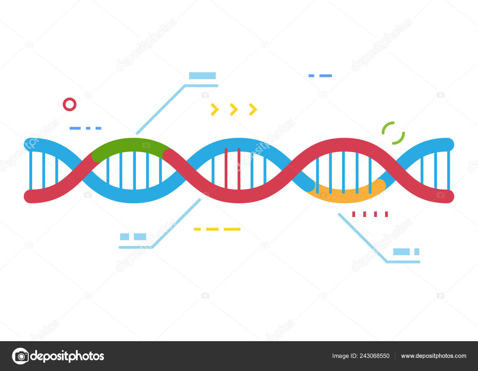 Dna Molecule Regions Different Colors Crisp Cas Gene Repairing ...
