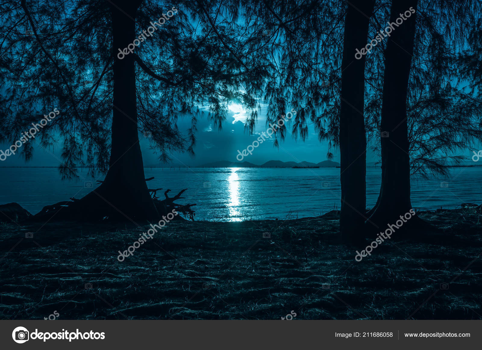 Night Tree Landscape