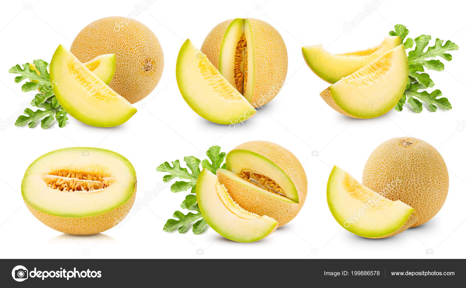 Melon fruits collection Stock Photo by ©Maks_Narodenko 199886578