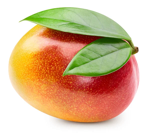 One fruit Stock Photos, Royalty Free One fruit Images | Depositphotos