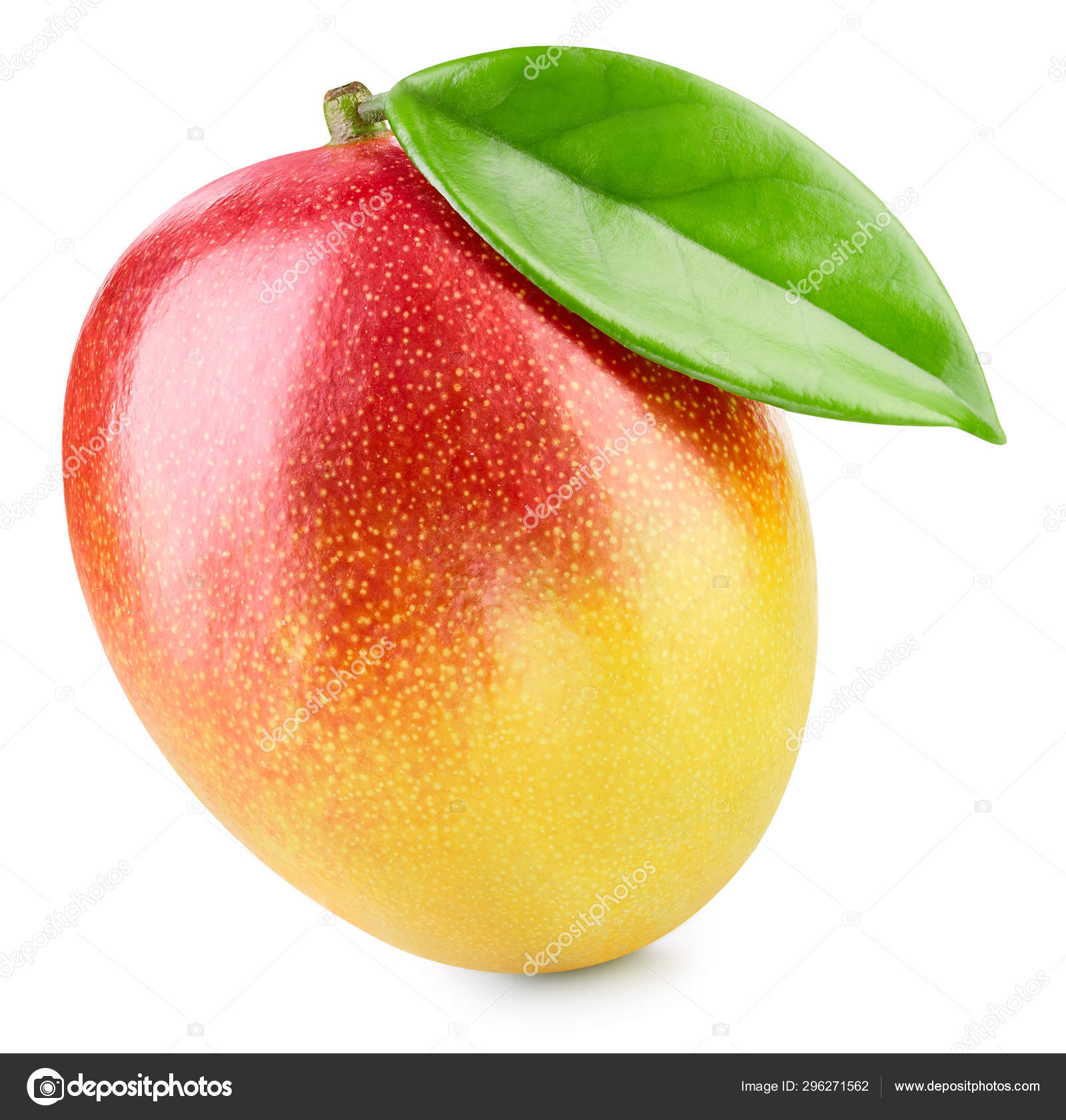 Single Fruits Pictures Mango