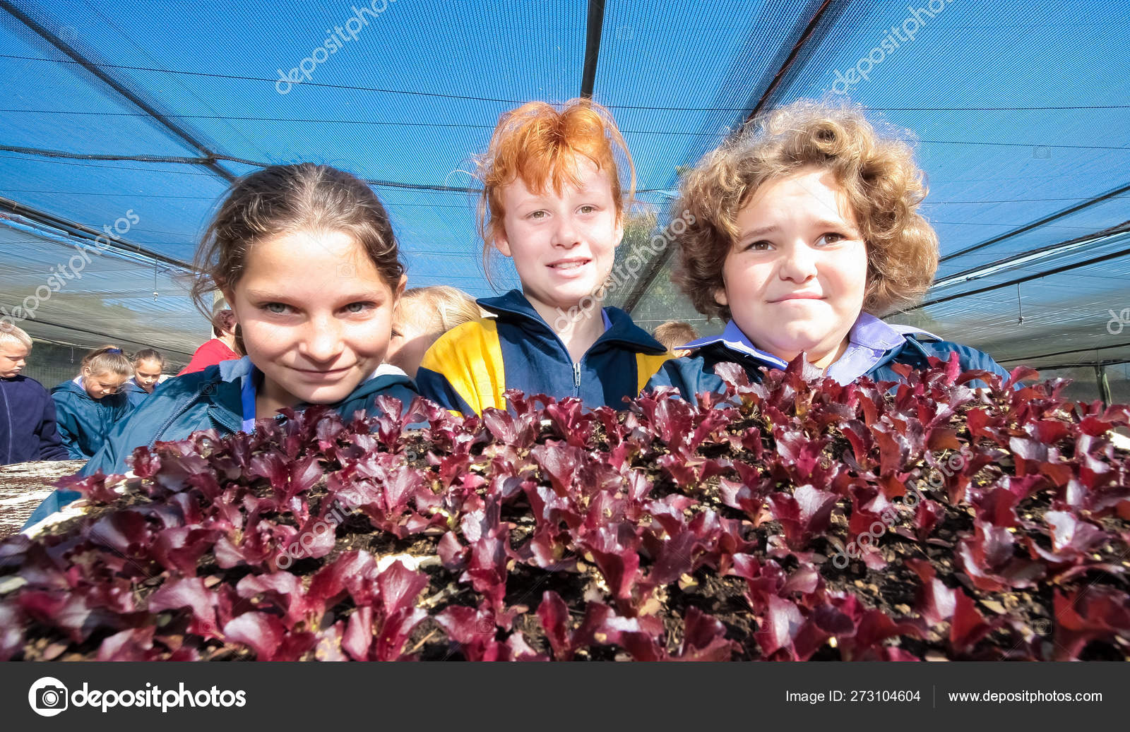 School children learning about agriculture and farming – Stock ...