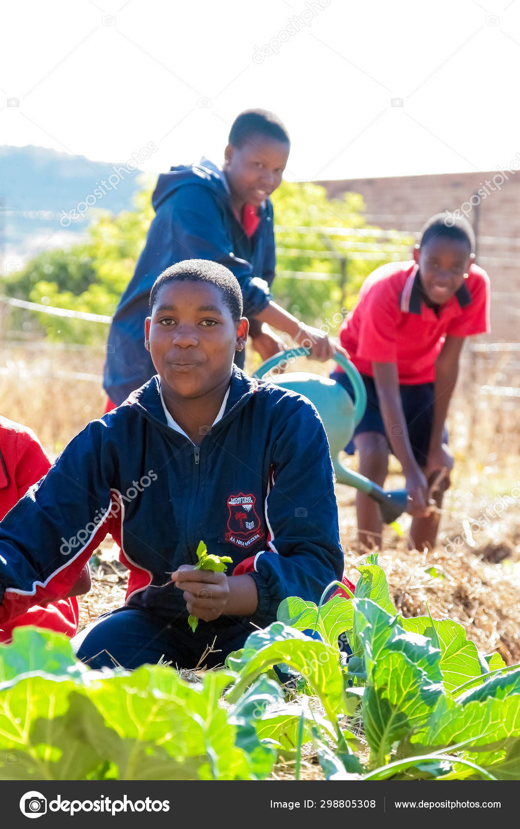 School children learning about agriculture and farming – Stock ...