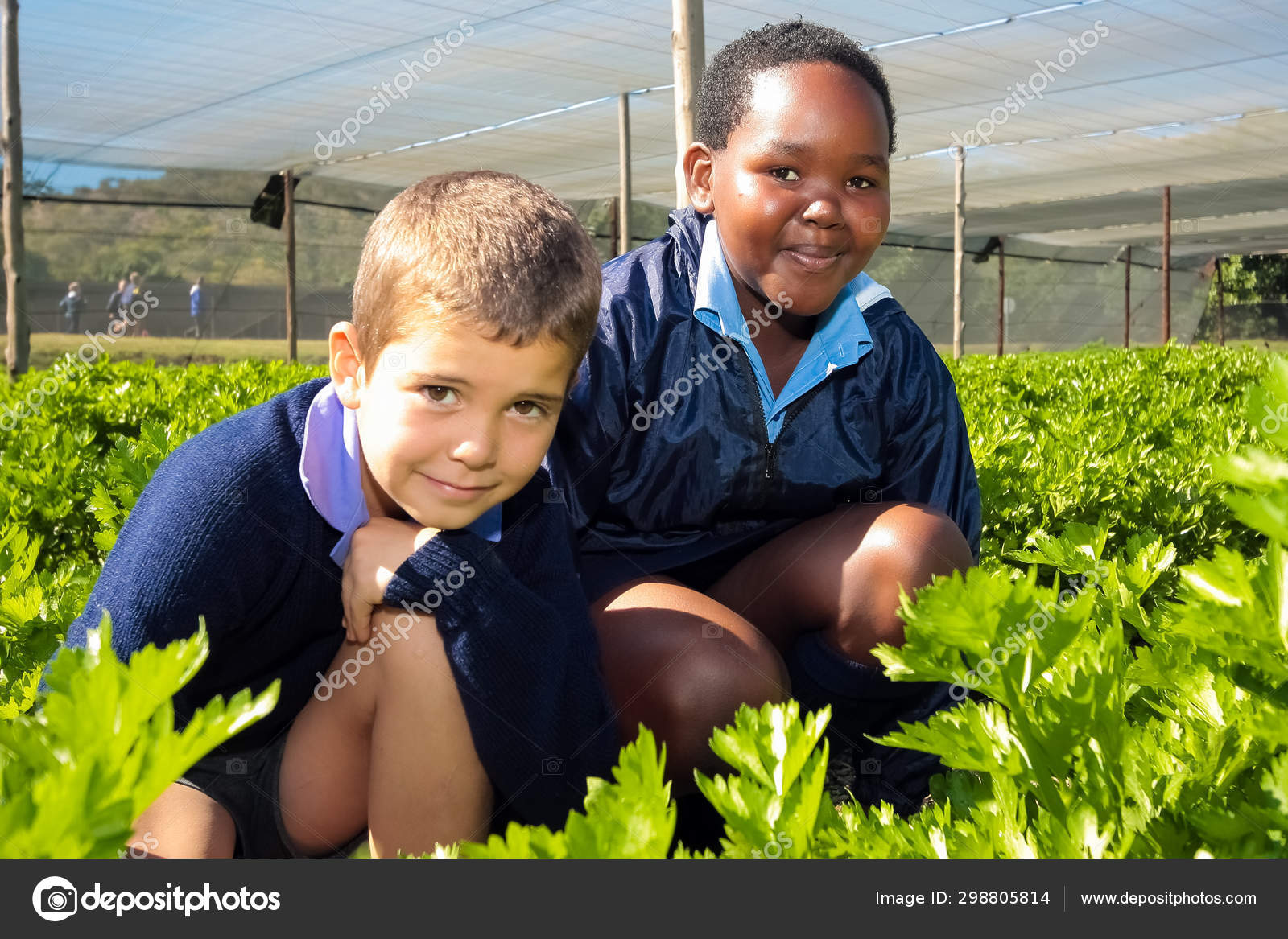 School children learning about agriculture and farming – Stock ...