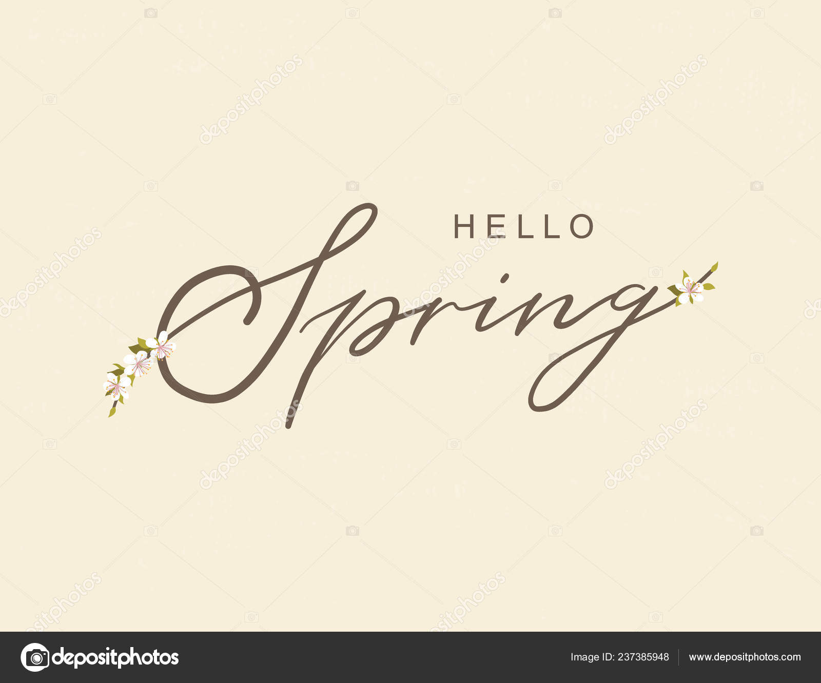 Spring Typography