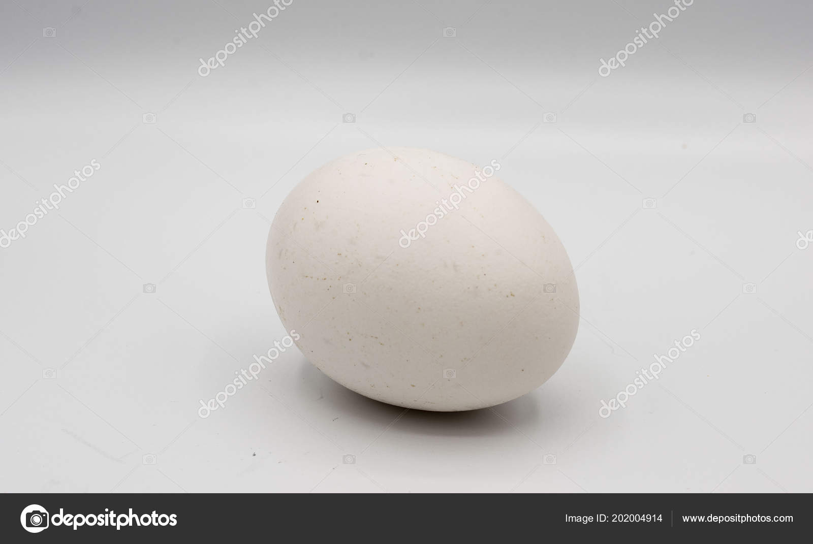 Chicken Egg Shell White Food Cooking Breakfast Kitchen — Stock Photo ...
