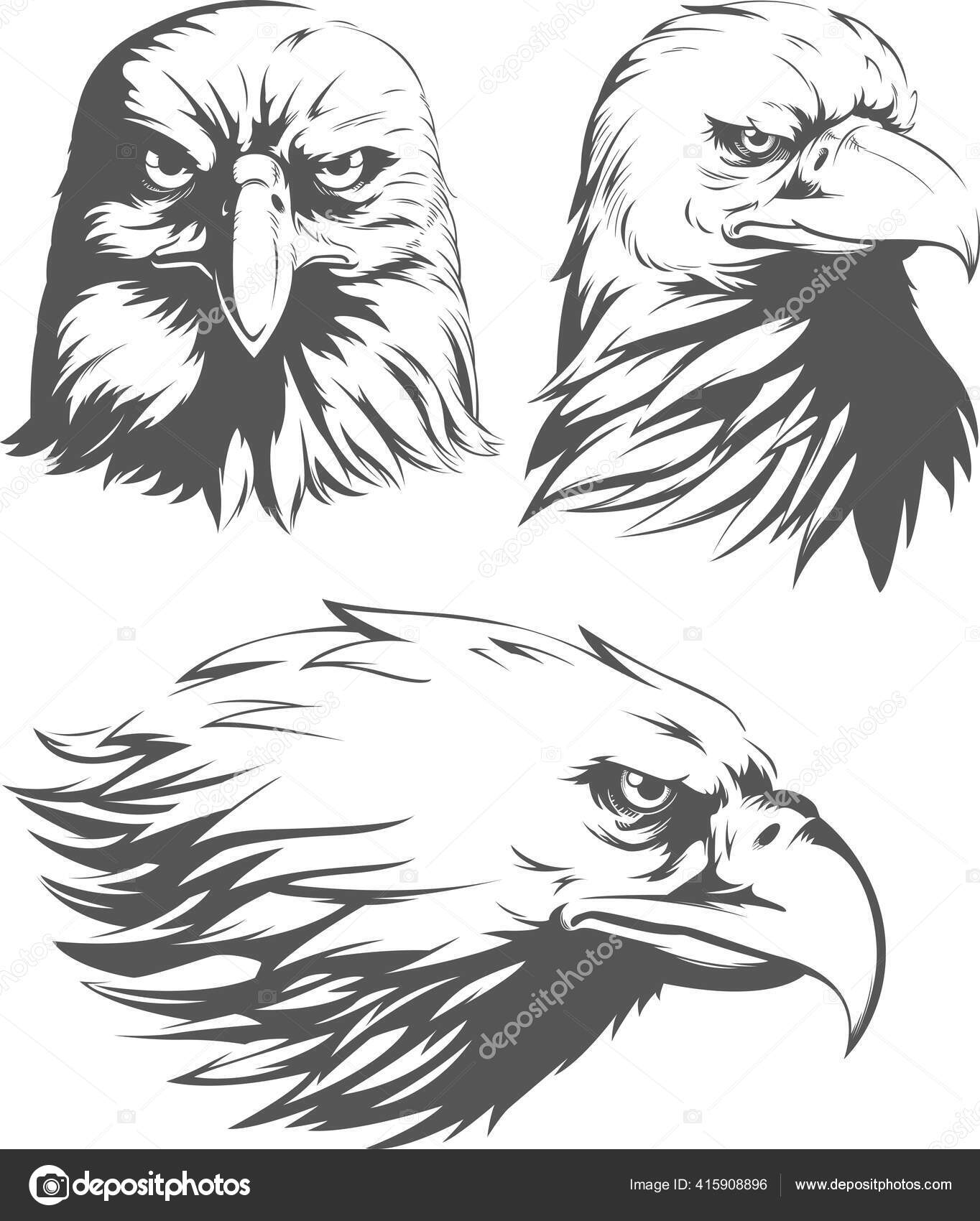 Falcon Head Drawing