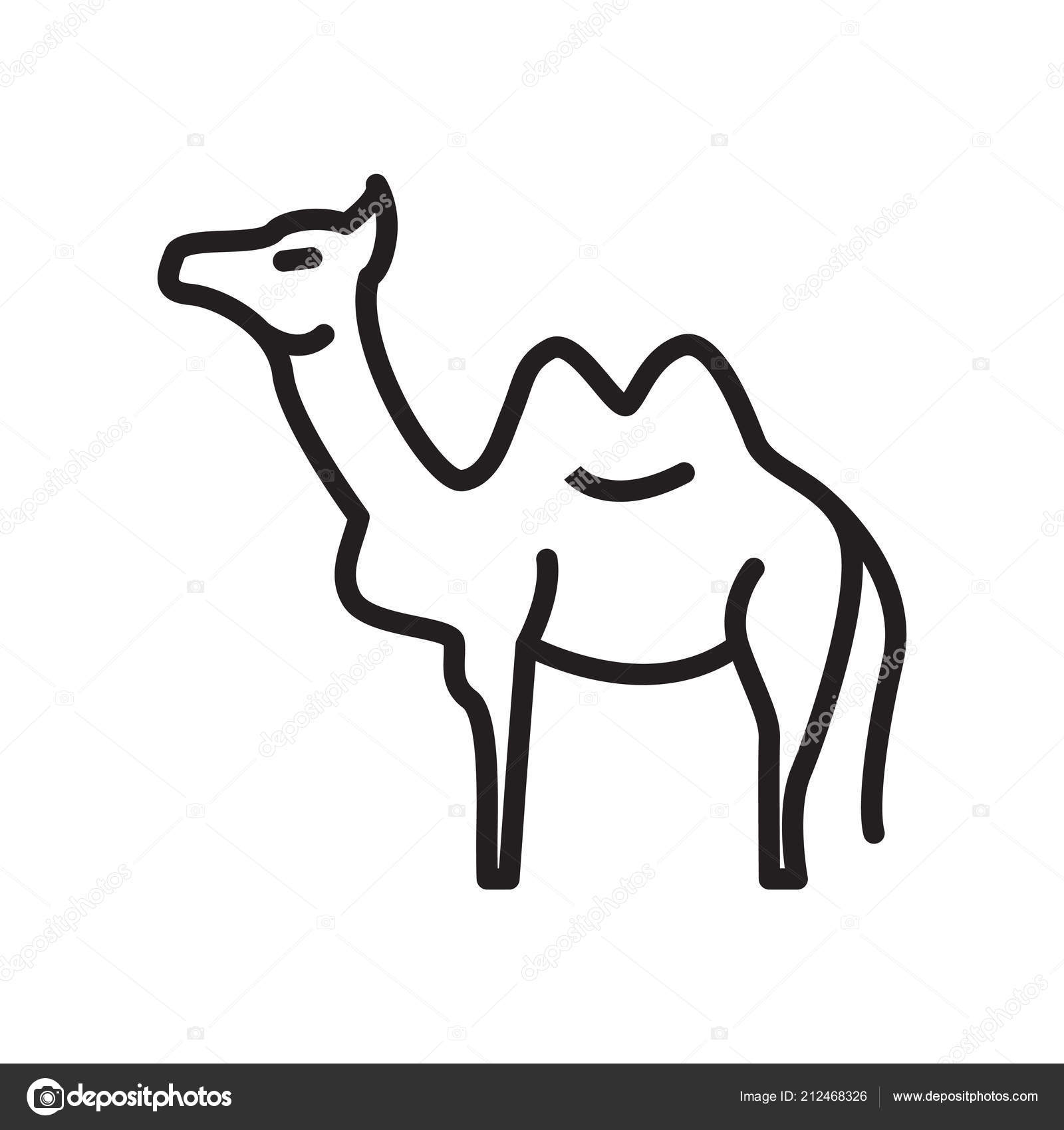 Camel Icon Vector Sign And Symbol Isolated On White Background, Stock ...