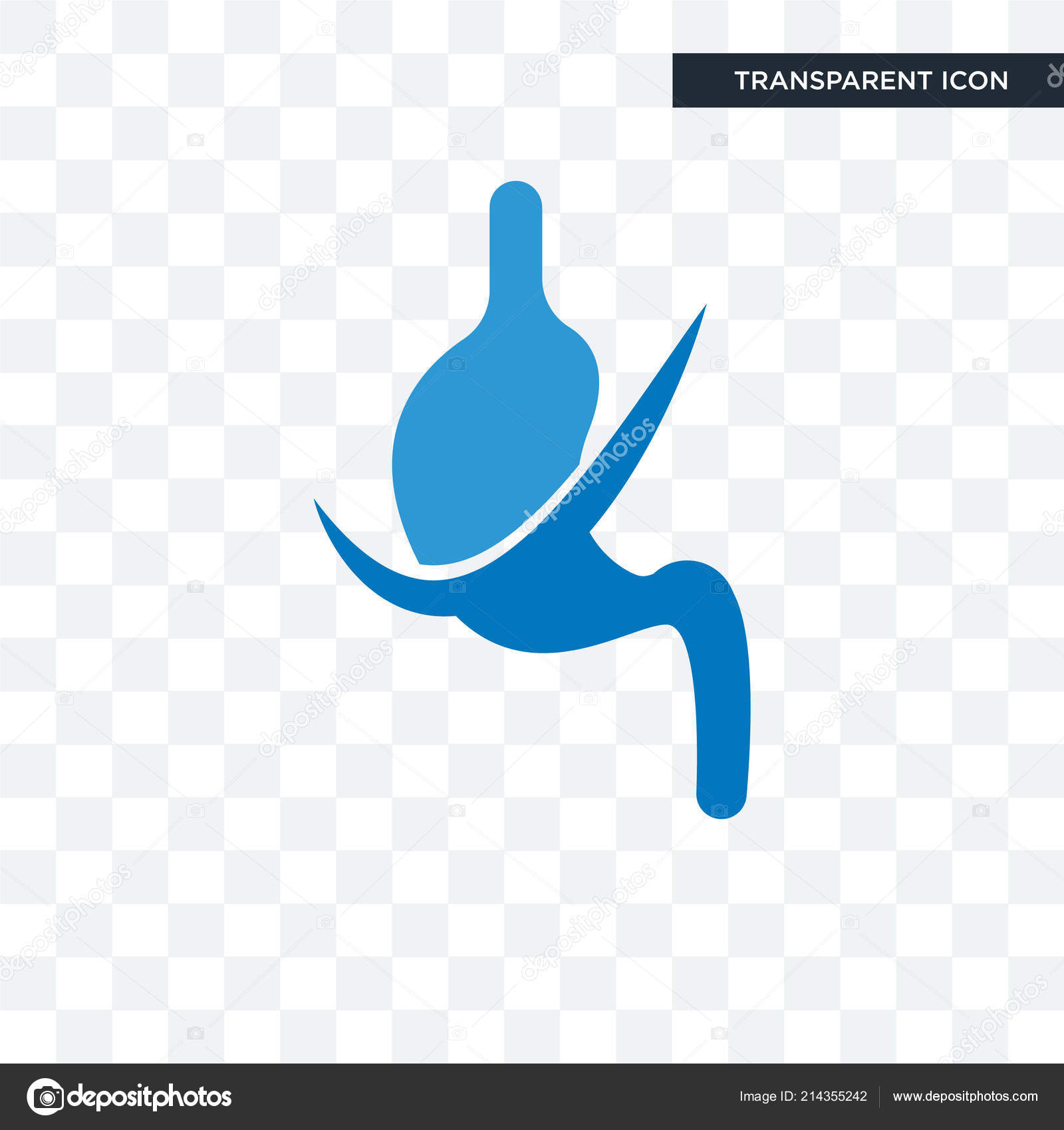 Gastroenterology vector icon isolated on transparent background, Stock ...
