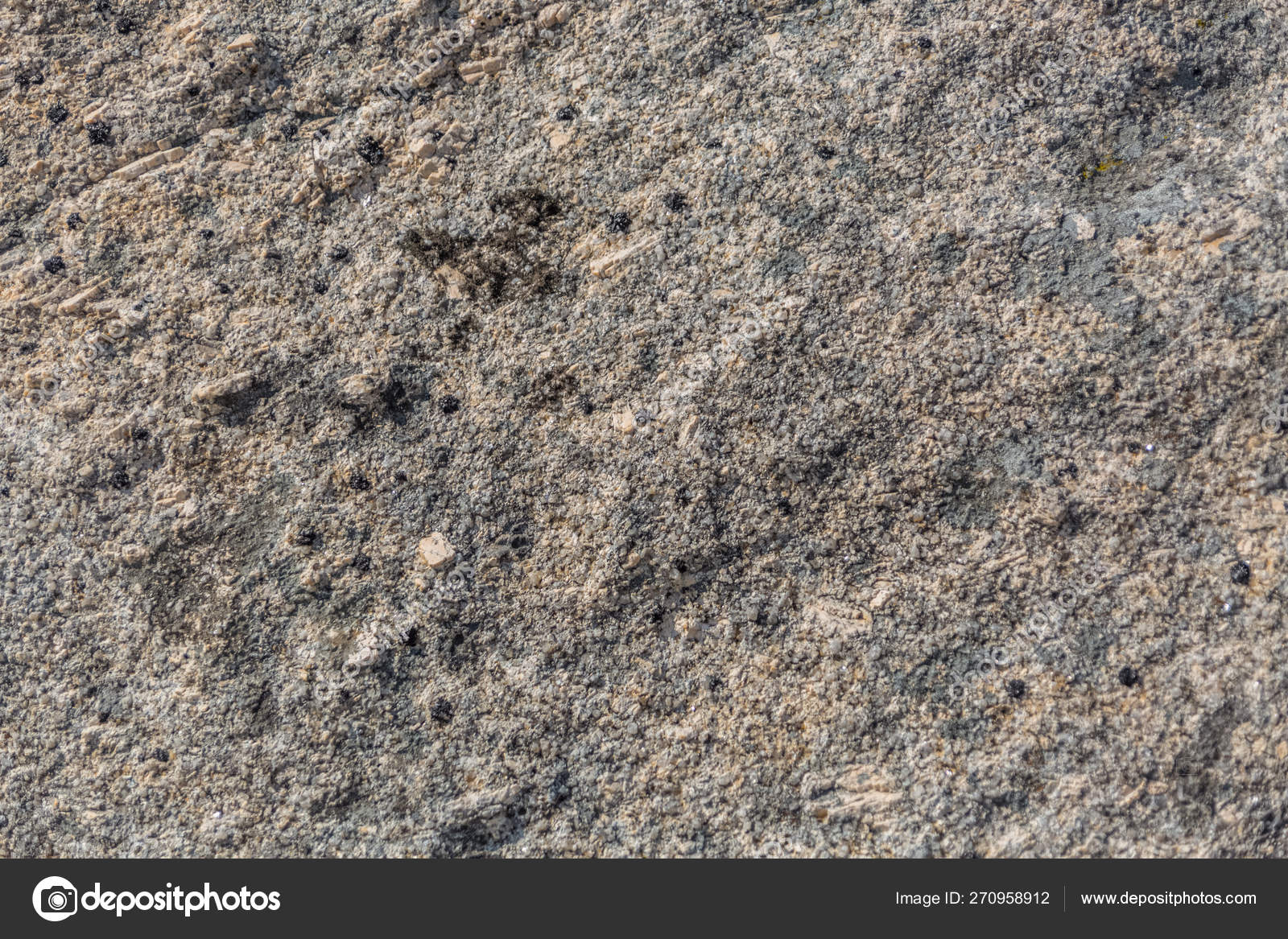 Detailed view of the typical texture of the granite stone — Stock Photo ...
