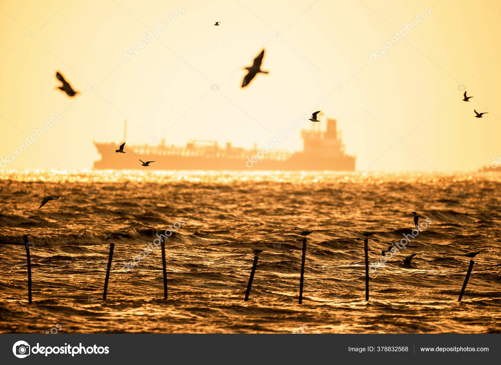 Container Cargo Ship Stormy Sea Flocks Seagull Flying Perching Stump ...