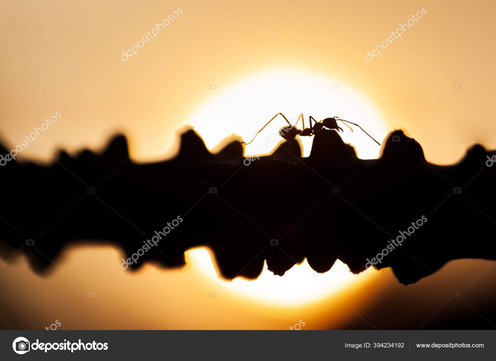 Magical Scene Green Ant Walking Vine Sunset Abstract Shaped Ant Stock ...