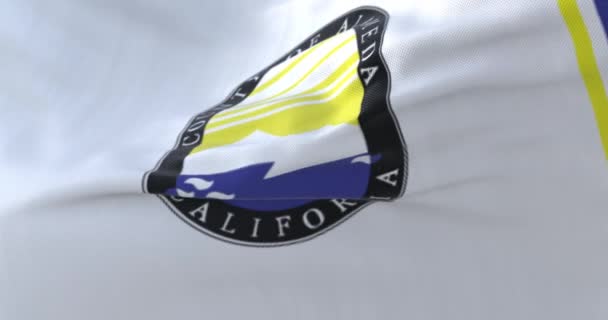 40 vídeos de Drapeau alameda, metraje de Drapeau alameda sin royalties ...