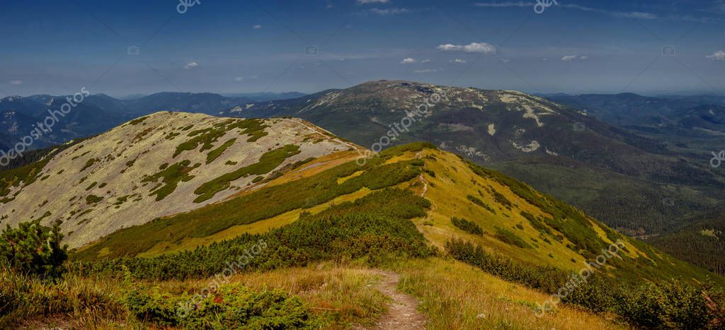 El camino en las monta as C rpatas. Ucrania. 2024