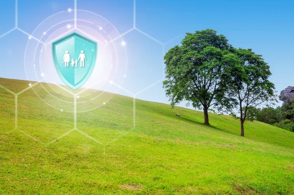 Life insurance, Shield protection family on virtual screen against ...