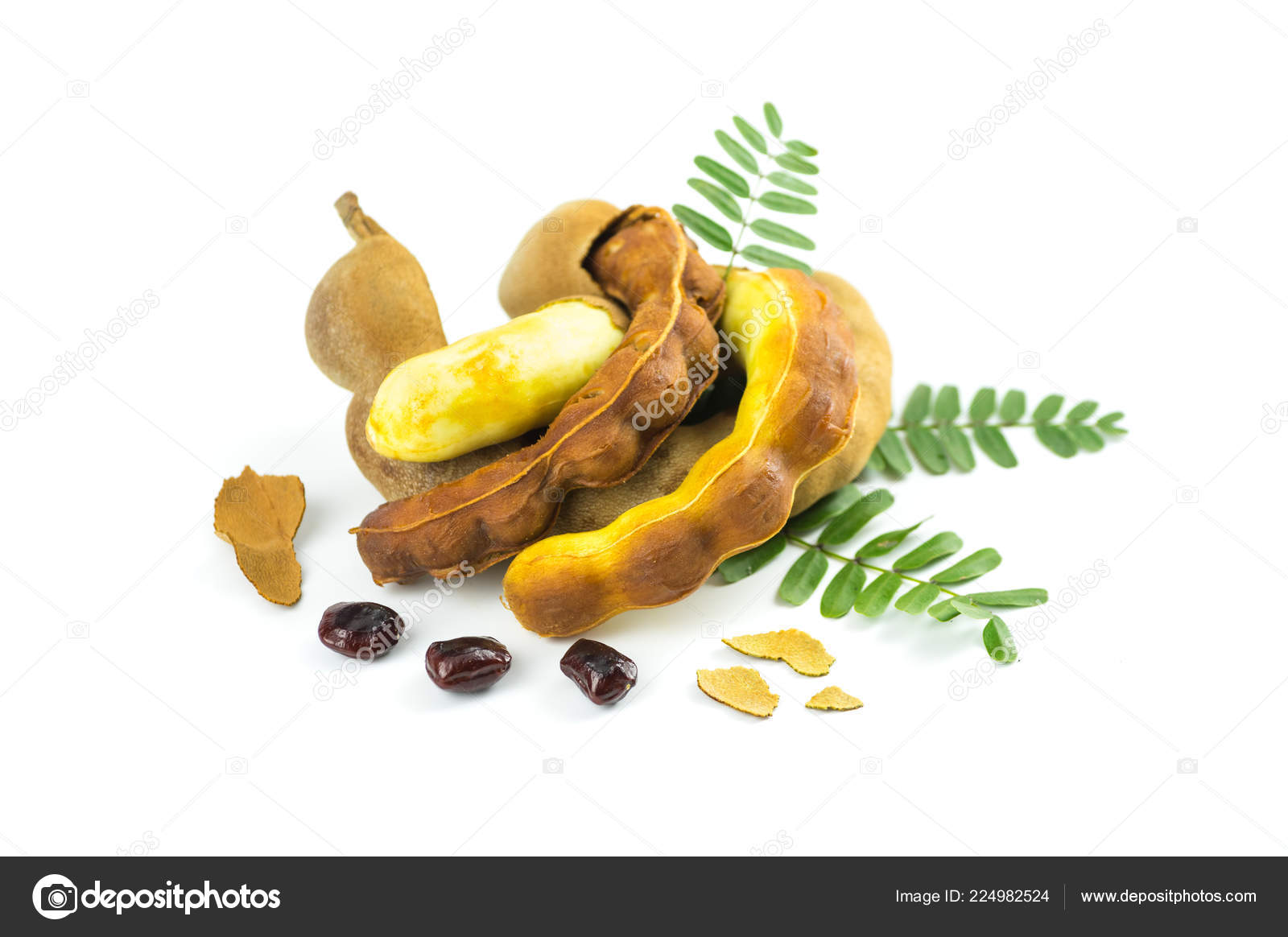 Fresh Sweet Tamarind Isolated White Background Leaves Seeds Bark ...