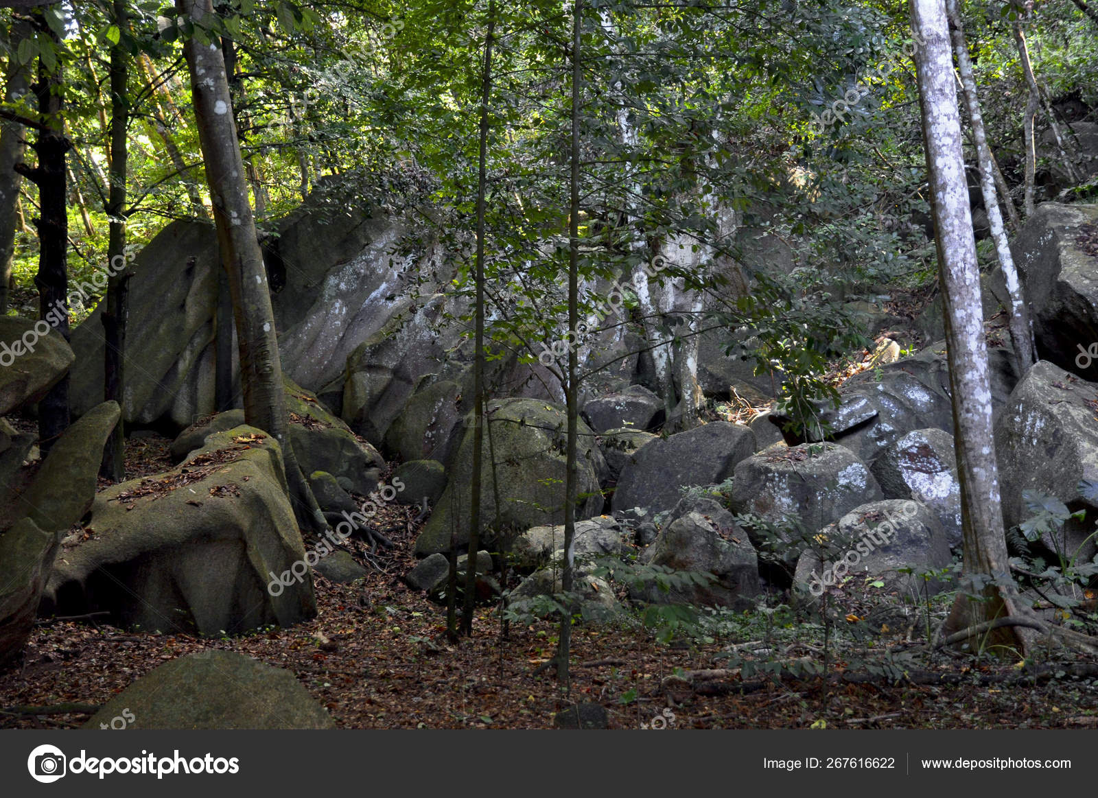 Granitic Rock Tropical Jungle Digue Island Seychelles Stock Photo by ...
