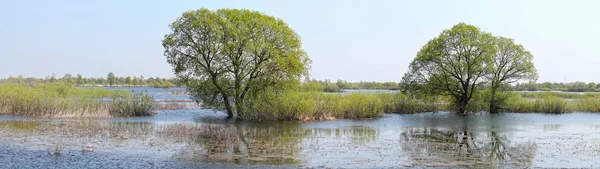 Ti tree lake Stock Photos, Royalty Free Ti tree lake Images | Depositphotos