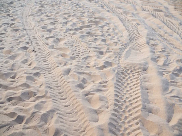 Beach atv Stock Photos, Royalty Free Beach atv Images | Depositphotos