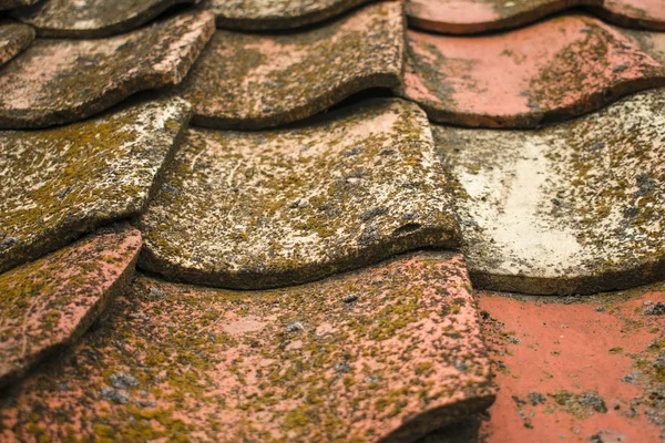 Asbestos shingles Stock Photos, Royalty Free Asbestos shingles Images ...