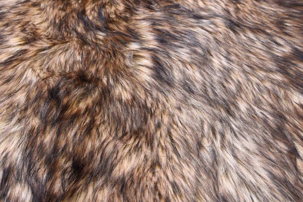 Wolf fake fur texture background - Stock Image - Everypixel
