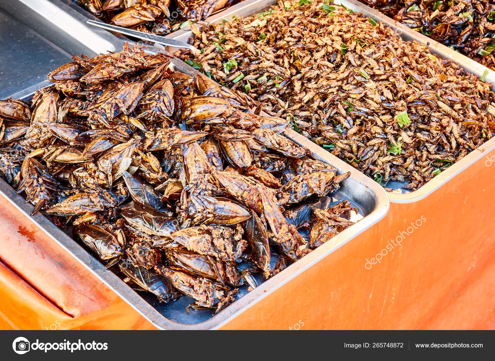 Thai Street Food Insects