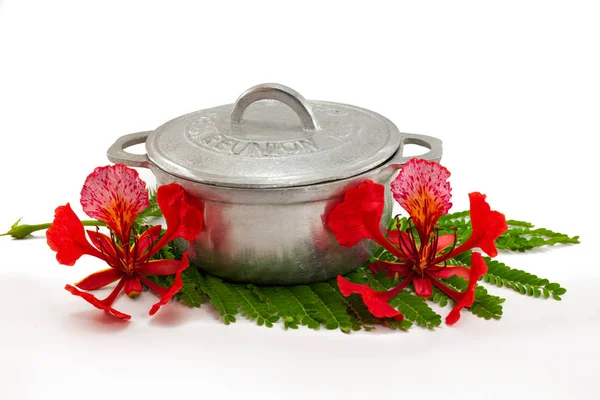 Gulmohar flower in white background. A gulmohar tree is an ornamental ...