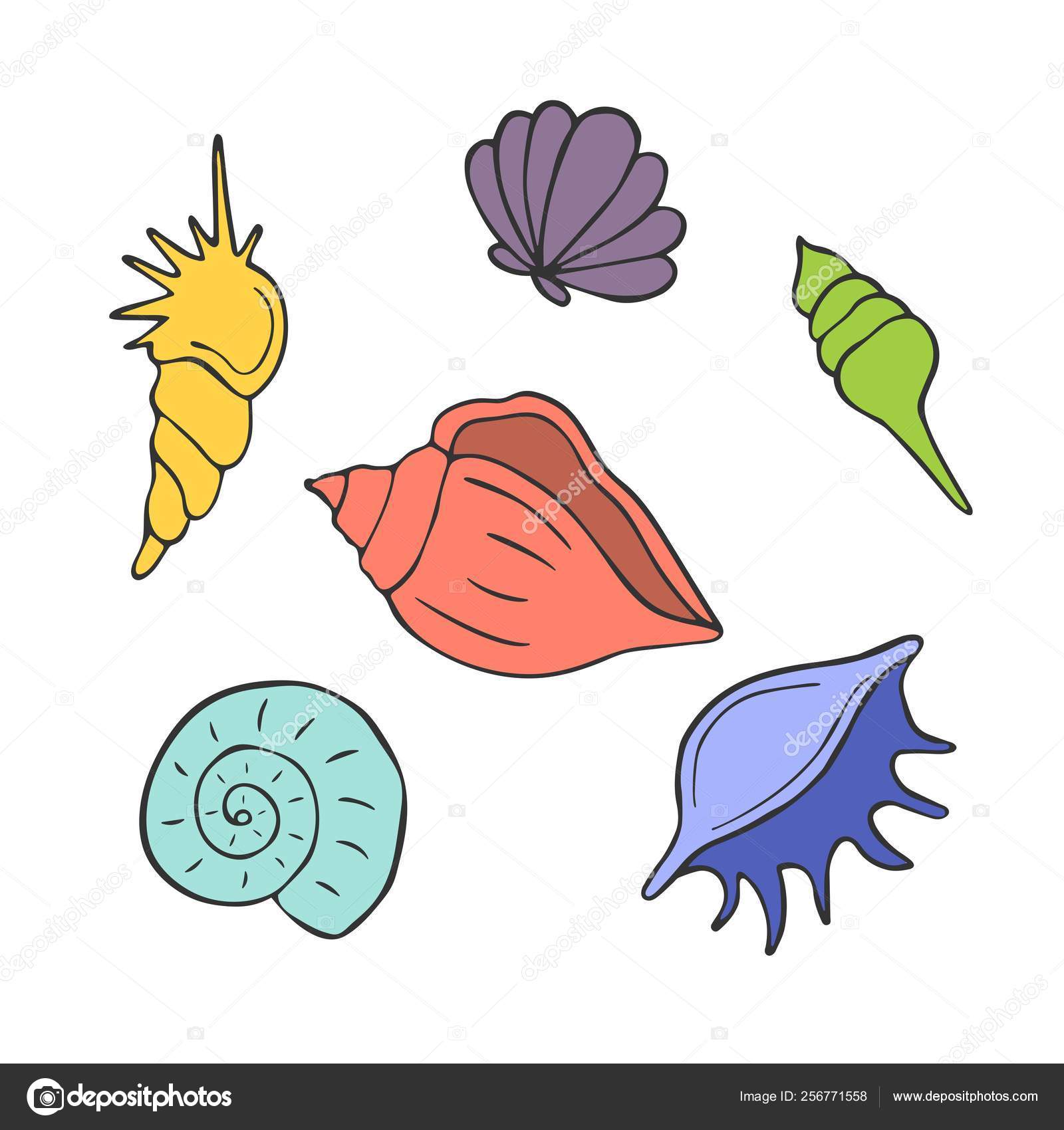 Seashell Cartoon