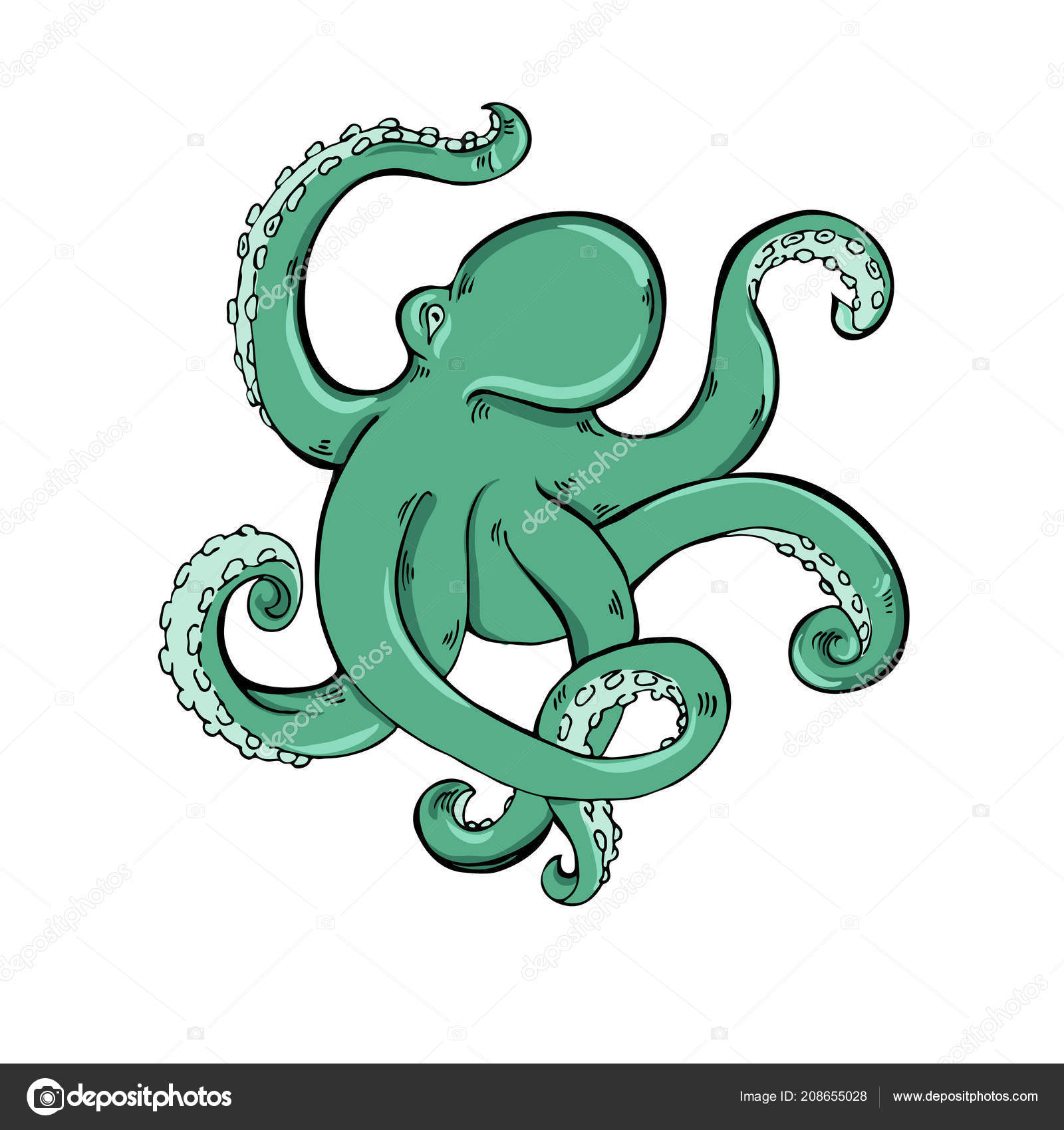 Green Octopus White Background Stock Vector Image by ©Angry_red_cat ...