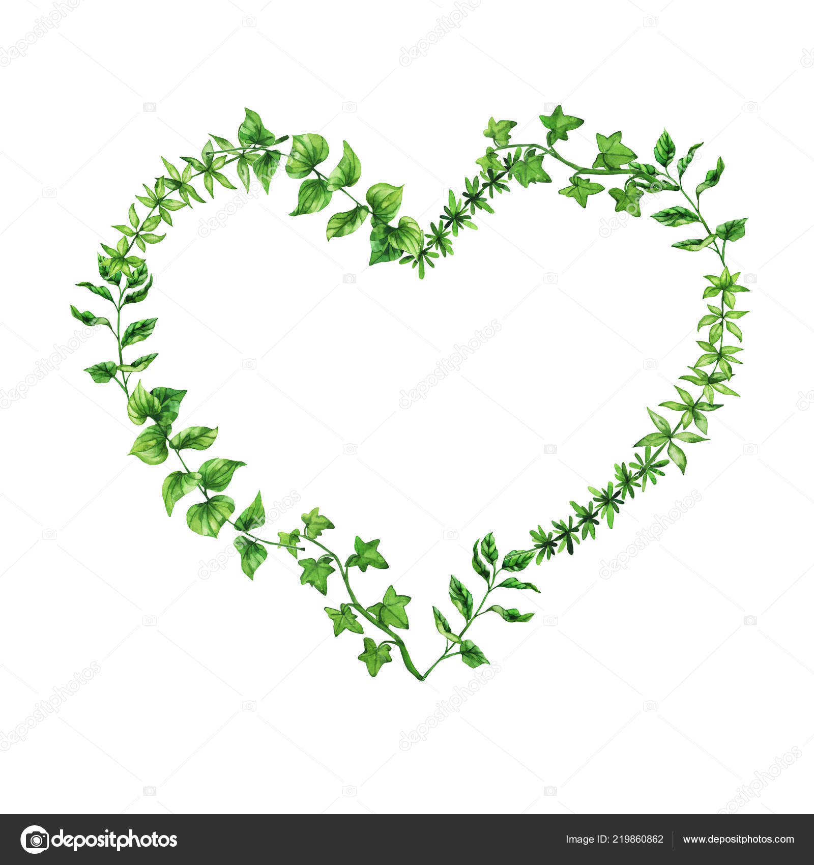 Elegance Green Branches Heart Frame Isolated White Background Hand ...