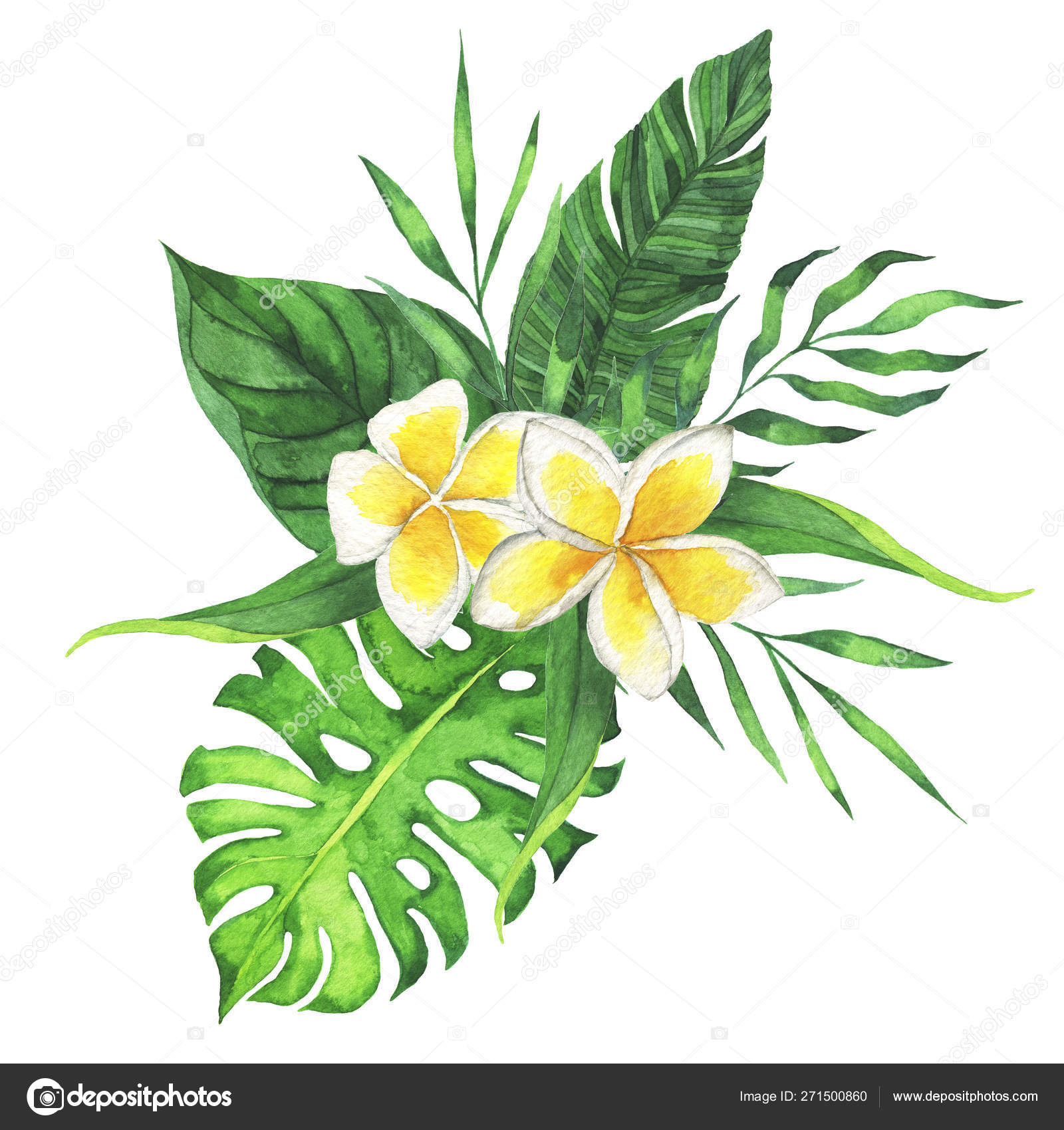 Tiare Flower Drawing | Best Flower Site
