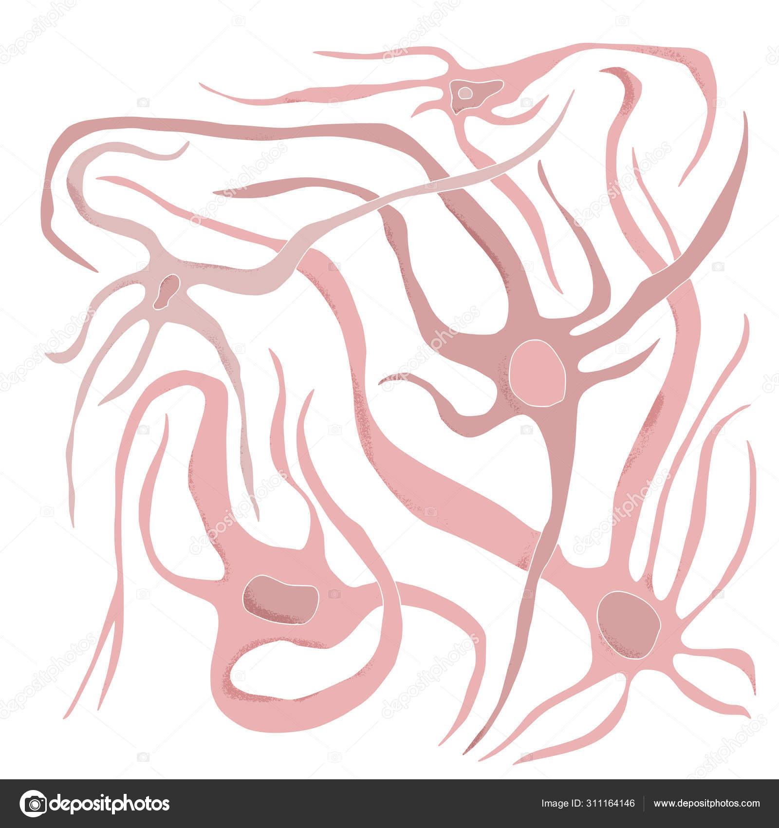 Neuron cells. Vector simple design illustartion. Stock Vector by ...