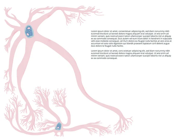 Neuron cells. Vector simple design illustartion. Stock Vector Image by ...