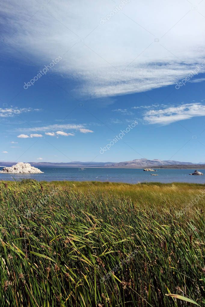 Las formaciones rocosas de la torre de la toba en el lago Mono son ...