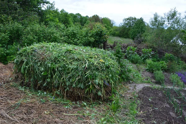 A home made compost heap in a garden for organic waste. Fresh compost ...