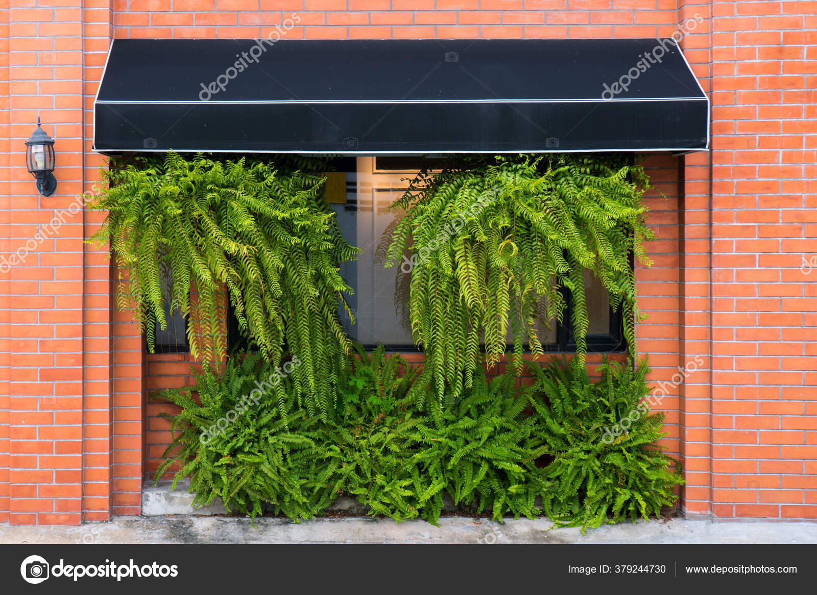 Black Awning Brick Wall Ferns Hanging Window Stock Photo by ©TaraPatta ...