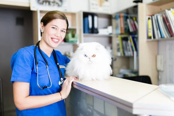 Veterinary theatre Stock Photos, Royalty Free Veterinary theatre Images ...
