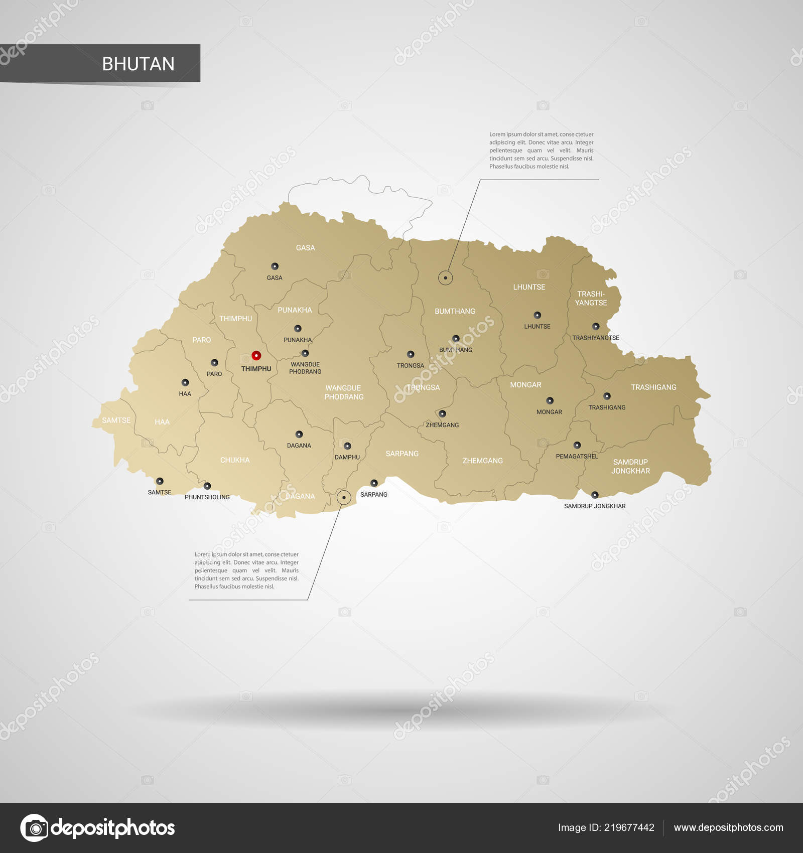 Vector Estilizado Mapa Bután Infografía Mapa Oro Ilustración Con ...