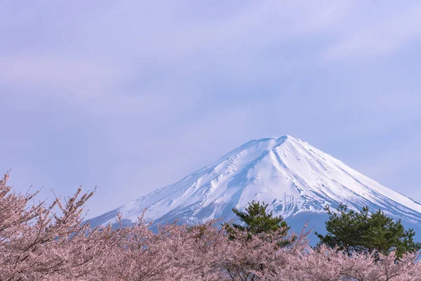 Mount fuji snow Stock Photos, Royalty Free Mount fuji snow Images ...